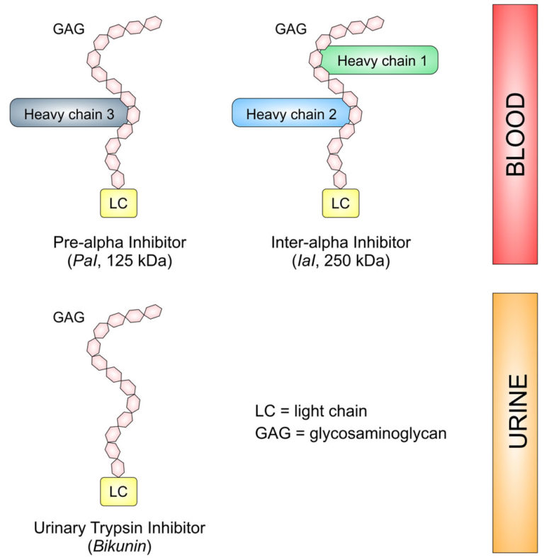 More About Our Science | ProThera Biologics